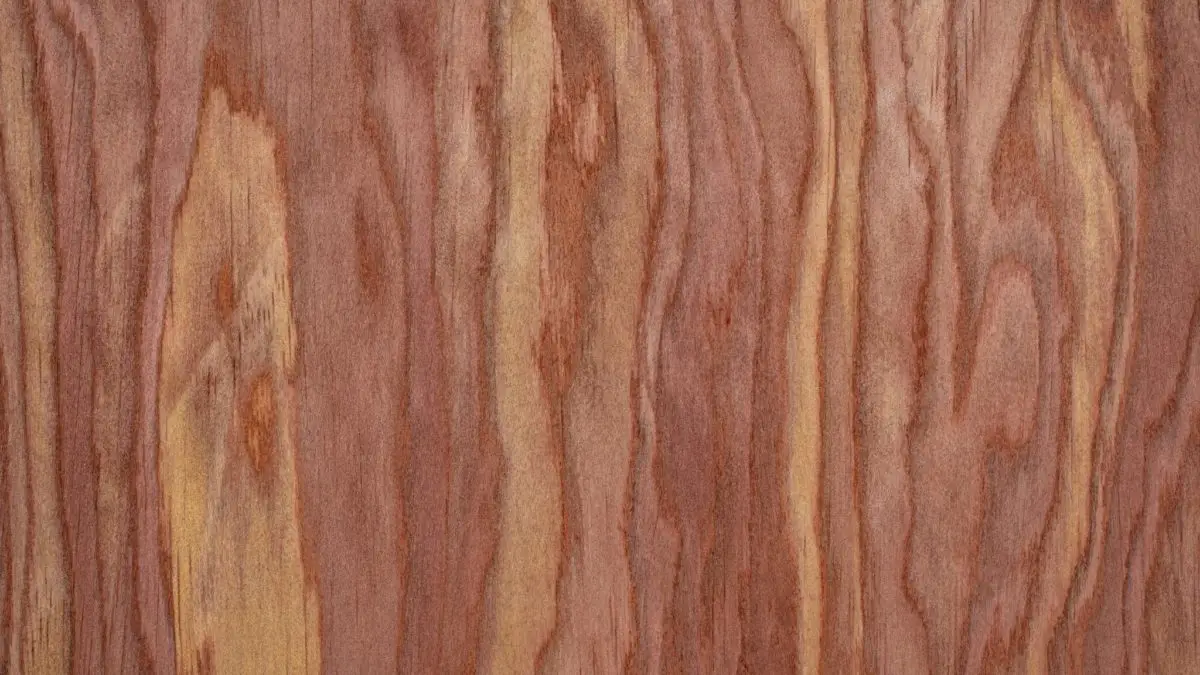 Red cedar: a sustainable type of wood for woodworking